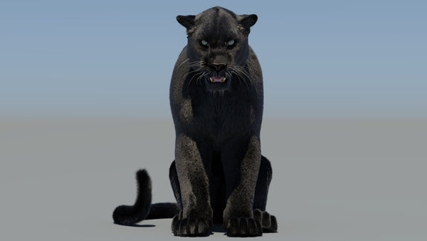 Rigged Black Panther 3D Model with Fur | PROmax3D