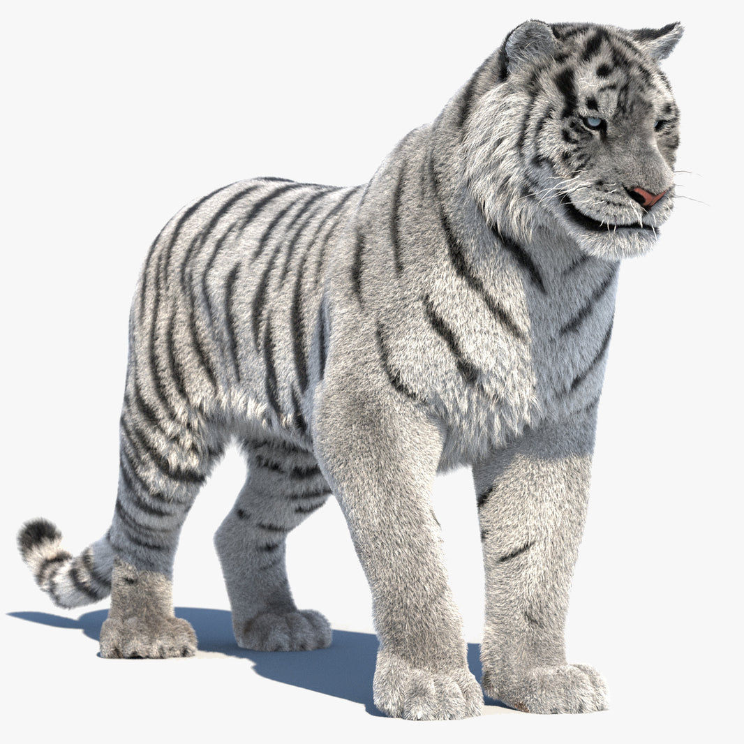 Realistic Siberian Tiger 3D Models for Download | PROmax3D